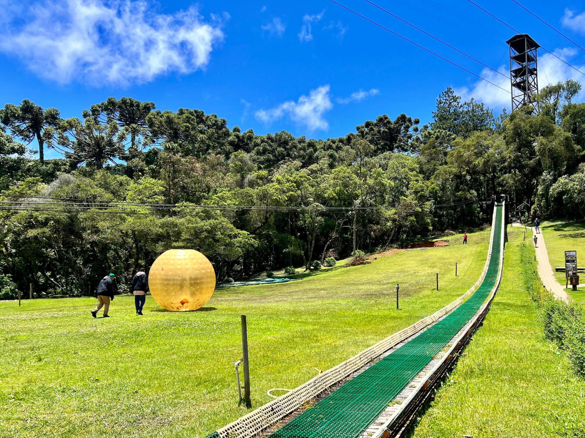 Campos do Jordão: Top 10 Atrações Imperdíveis Modo Viajante